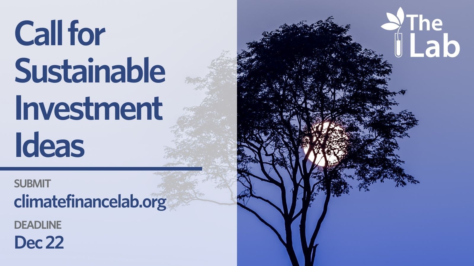 Call for Ideas - The Global Innovation Lab for Climate Finance