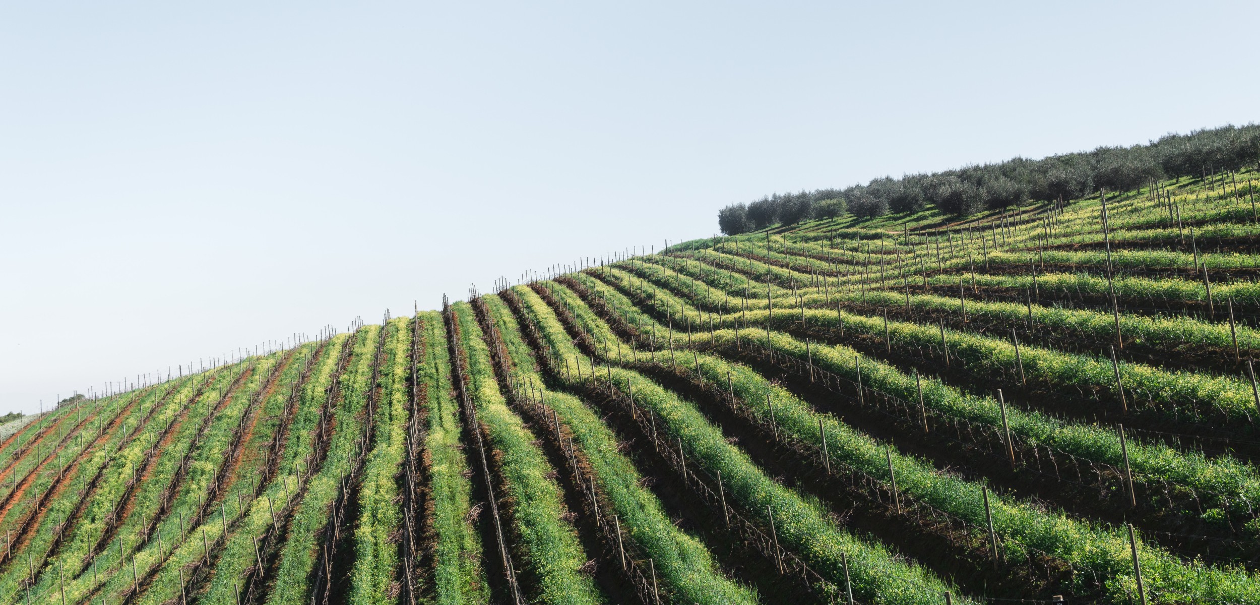 Convergence and CPI launch USD 12 million Catalytic Climate Finance ...