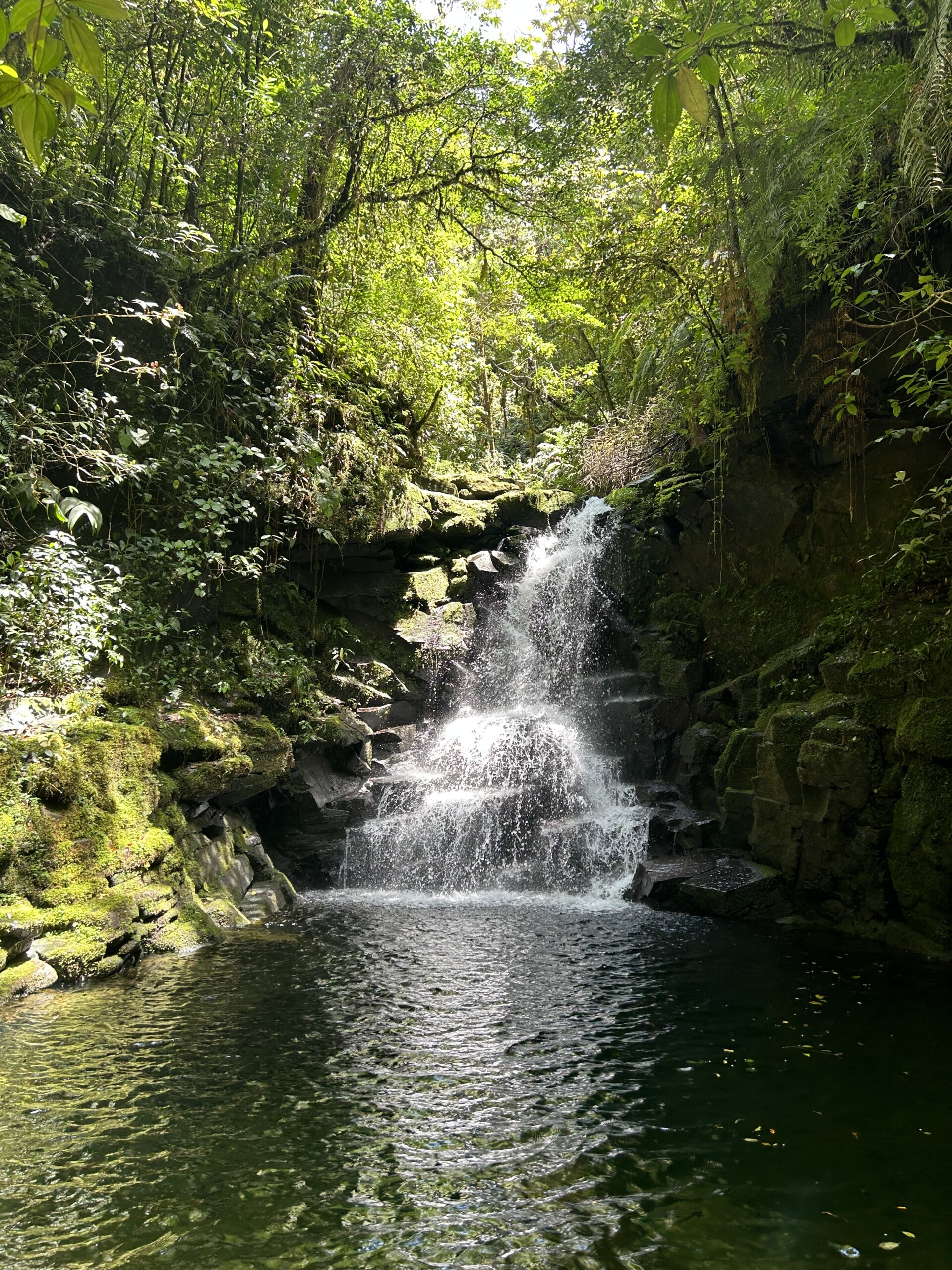 Catalytic Climate Finance Facility awards USD 2.4 million to inaugural ...