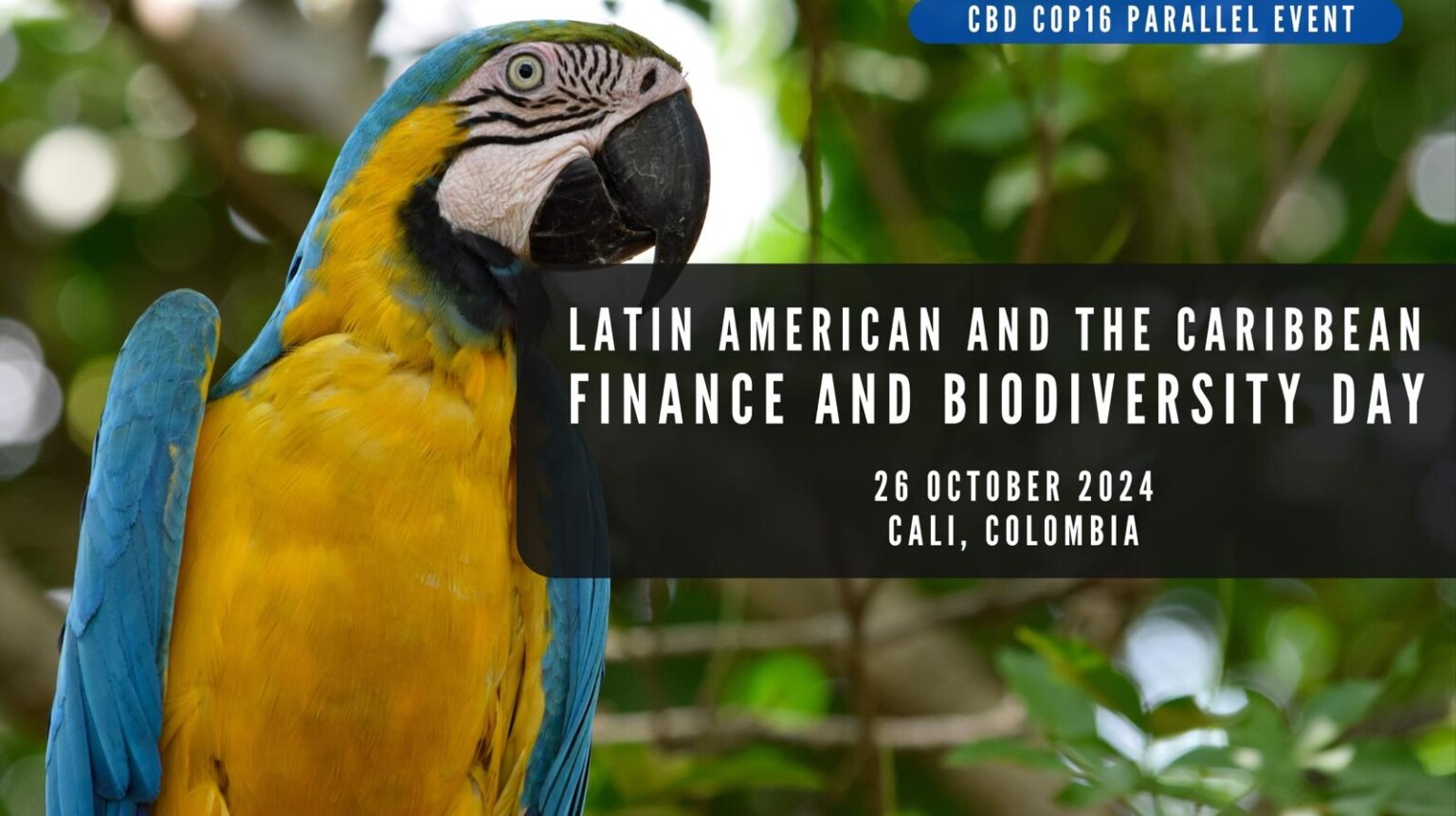Latin American and the Caribbean Finance and Biodiversity Day at CBD ...